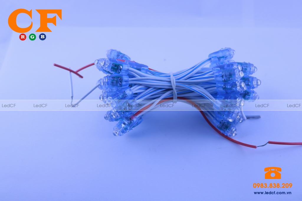 Bán & phân phối bóng đèn Led đúc 5mm đế 8 chính hãng - LedCF Việt Nam